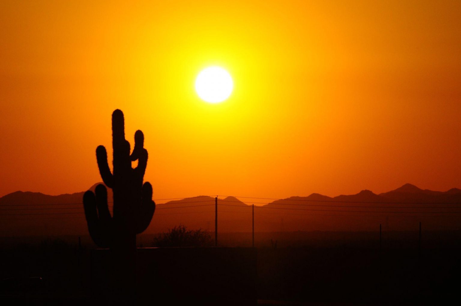 Catholic Clergy Abuse in Arizona | Saunders & Walker PA